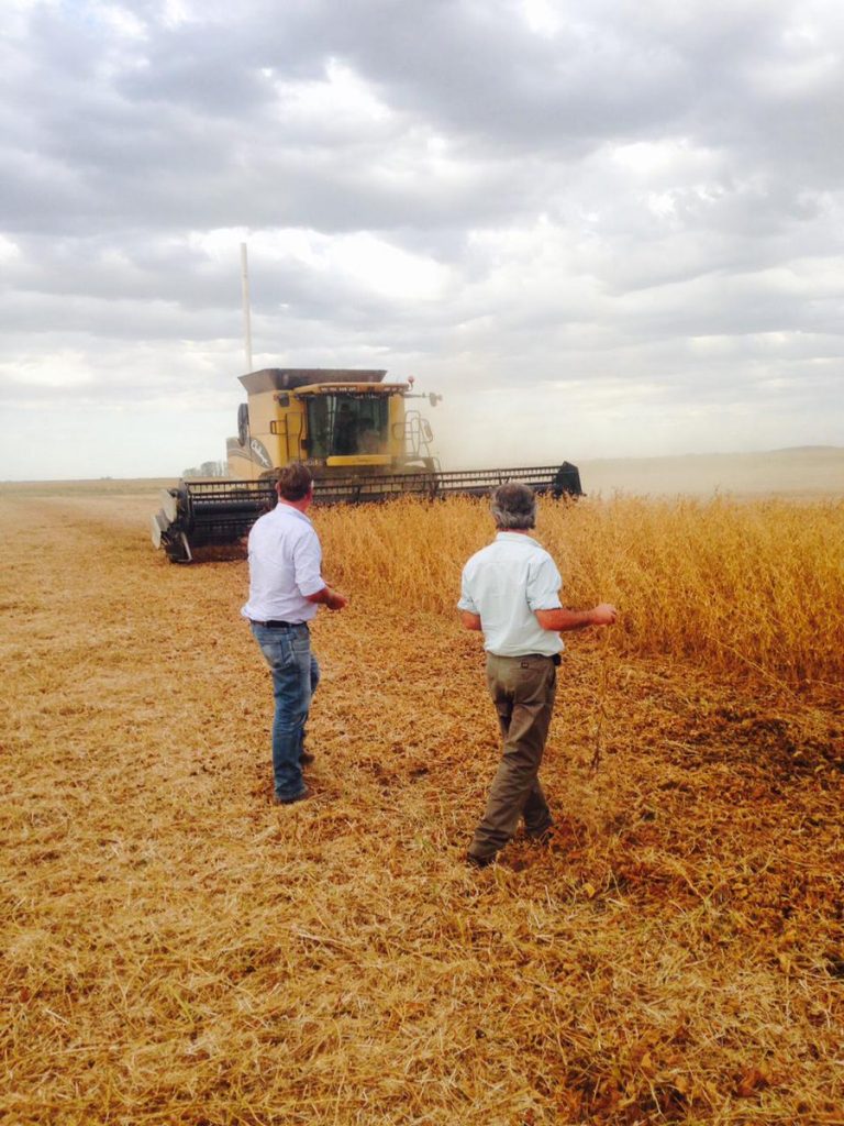 Grain and fodder handling - Landpoint